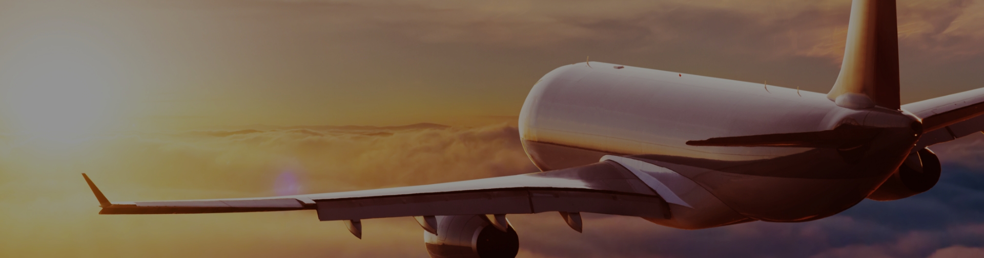 Purchase Carbon Offset Products for Individuals and Families