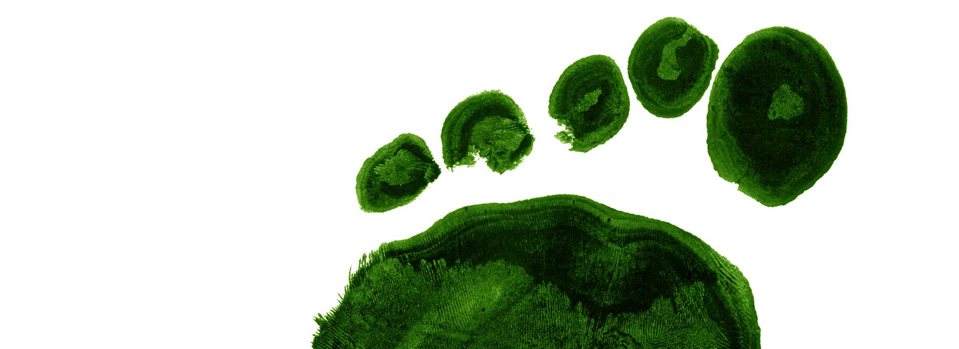 Understanding Carbon Offsets | Reducing GHG Emissions