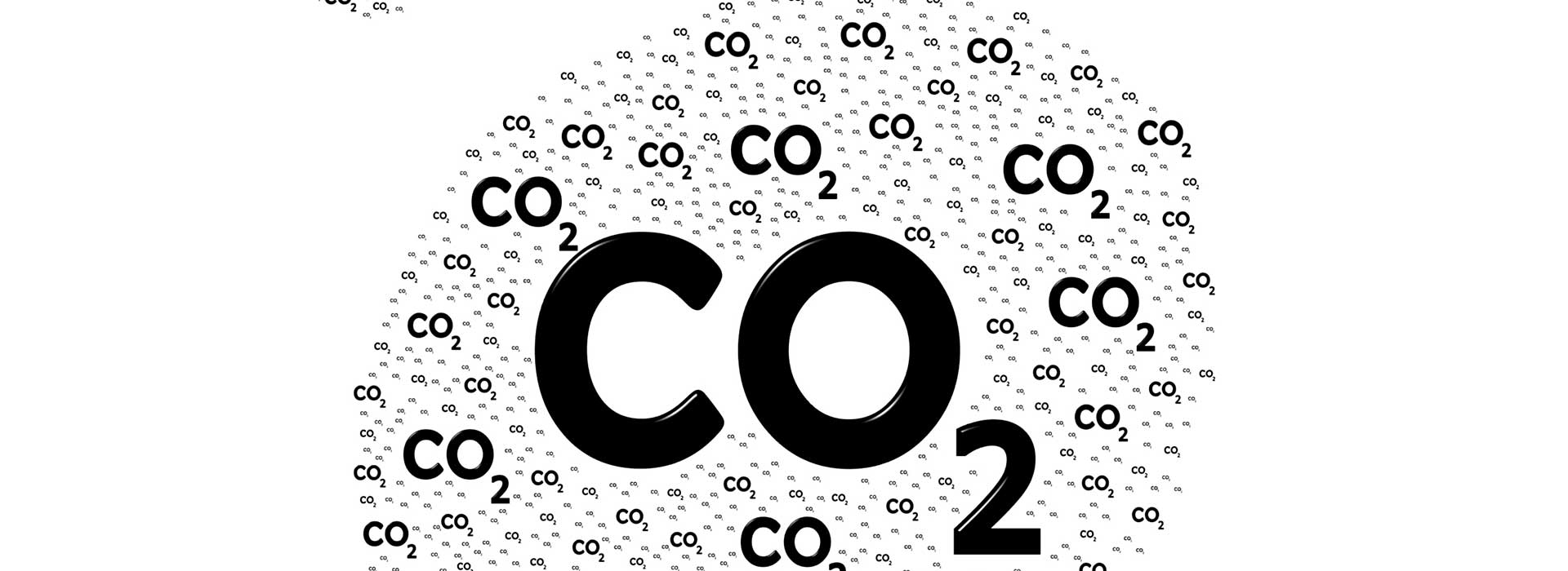A Buyers Guide to Carbon Offsets: What You Need to Know