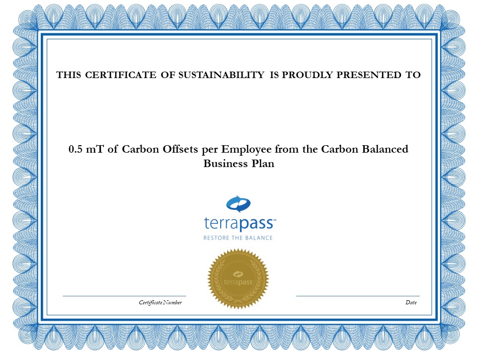 Small Businesses | Carbon Emissions Sustainability Concerns