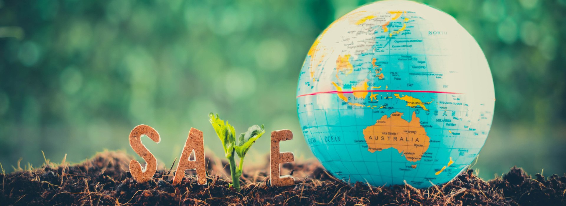 12 Ways To Help Save The Planet In 2021 12 Ways To Help Save The Planet In 2021