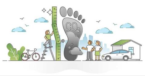 How to Buy a Carbon Offset | A Quick Guide