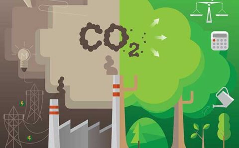 What Does It Mean to Be Carbon Negative?
