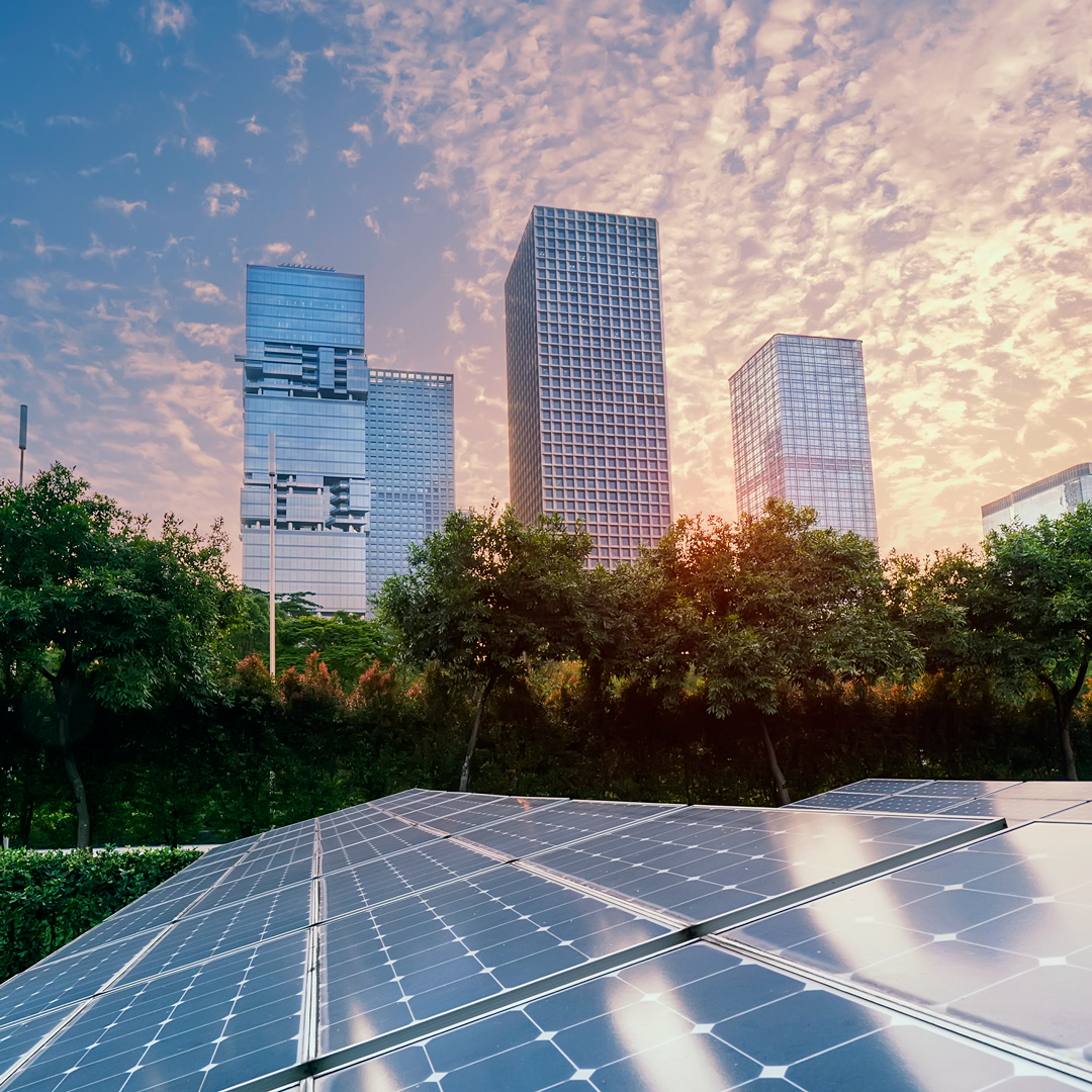 Medium-Large Businesses