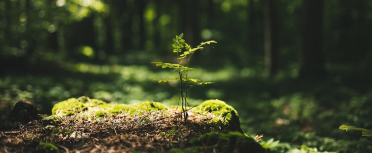 Purchase Green-e® Climate Certified Terrapass Carbon Offsets