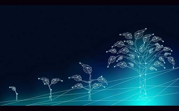 How Do Carbon Finance Systems Work Reduce Carbon Emissions?