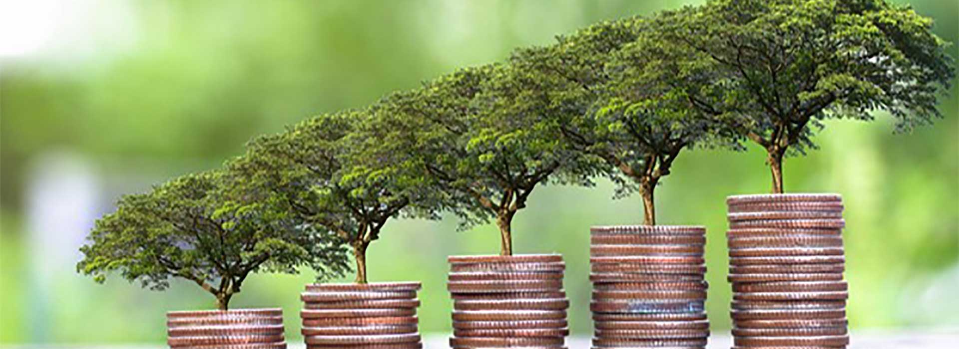 Green Finance Understanding Sustainable Finance Options