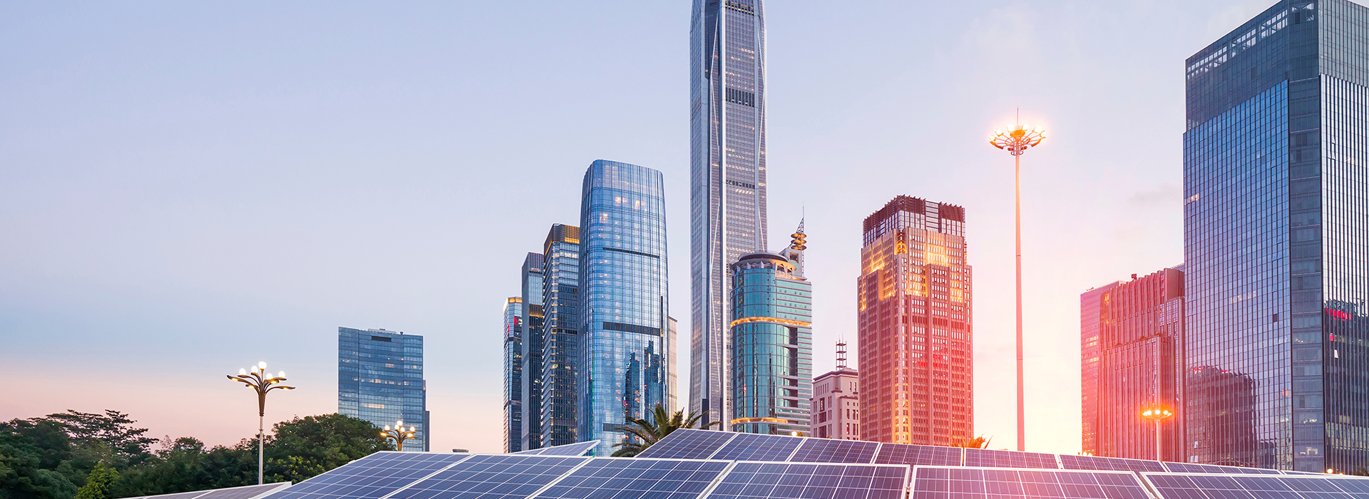 SBTi Aligned Sustainability: What It Is and How It Helps