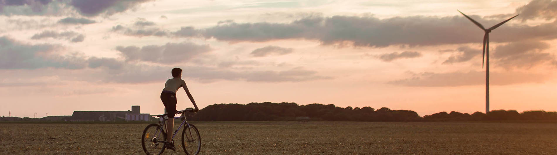 Clarity Is Coming to Sustainability Communications