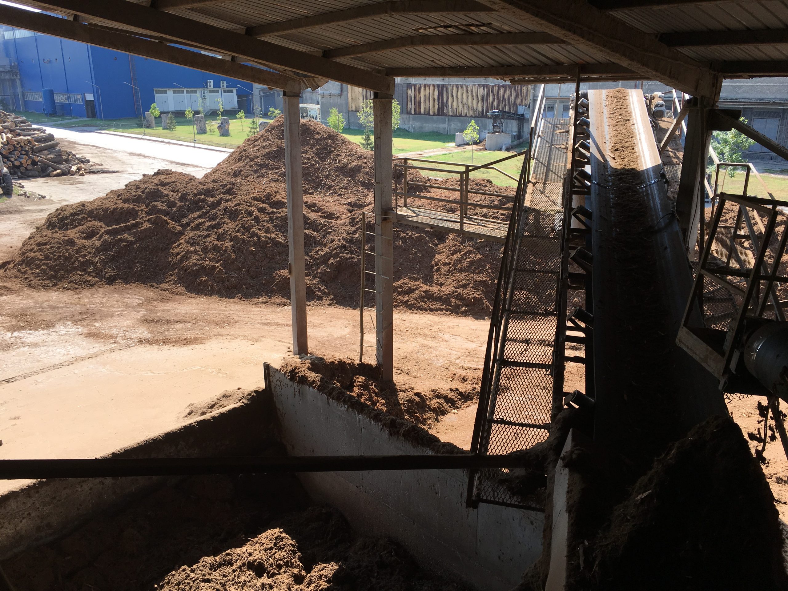 Svilosa Biomass Project | Terrapass